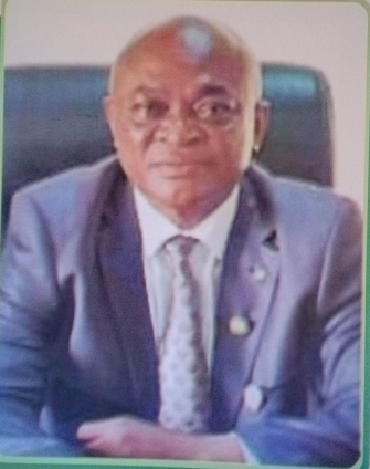2023: Umahi, Others Make INEC’s Final List For Senate Election | Africa ...